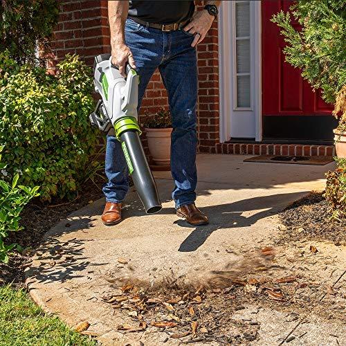 Top 5 Cordless Leaf Blowers for 2019 - YardMasterz.com